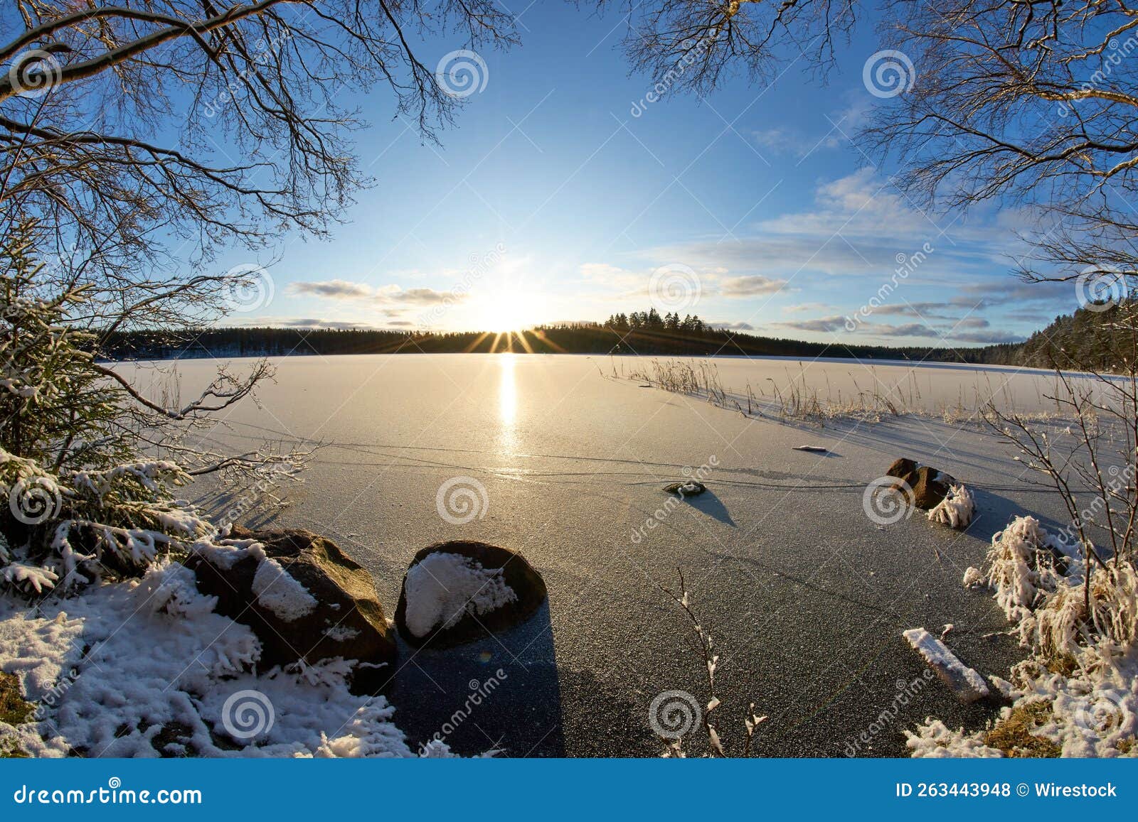 Scenic Shot of a River with Thin Ice Floating Surrounded by Vegetation ...