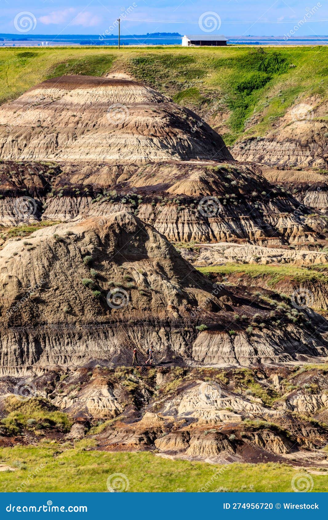 Scenic Shot of a Valley in Drumheller with a Layer of Green Grass on ...