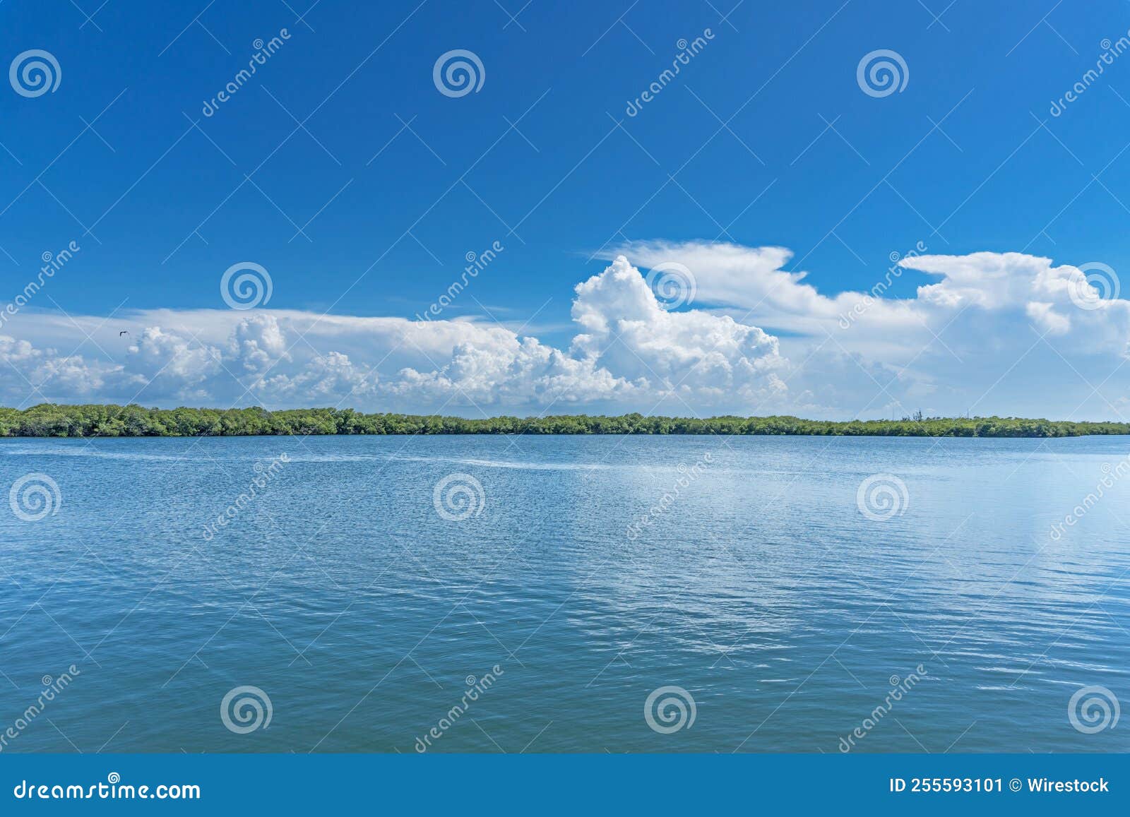Scenic Shot of Varadero in Cuba with a Beautiful Cloudscape in the ...