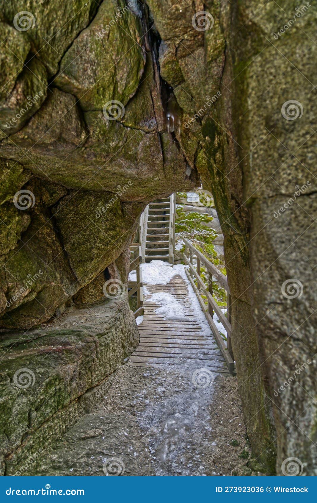 Scenic Stone Pathway with an Arched Design, Surrounded by Lush Greenery ...