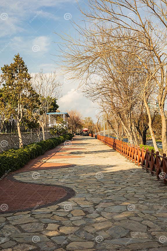 Scenic Stone Pathway Lined with Leafless Trees in Tranquil Park Setting Stock Image - Image of ...