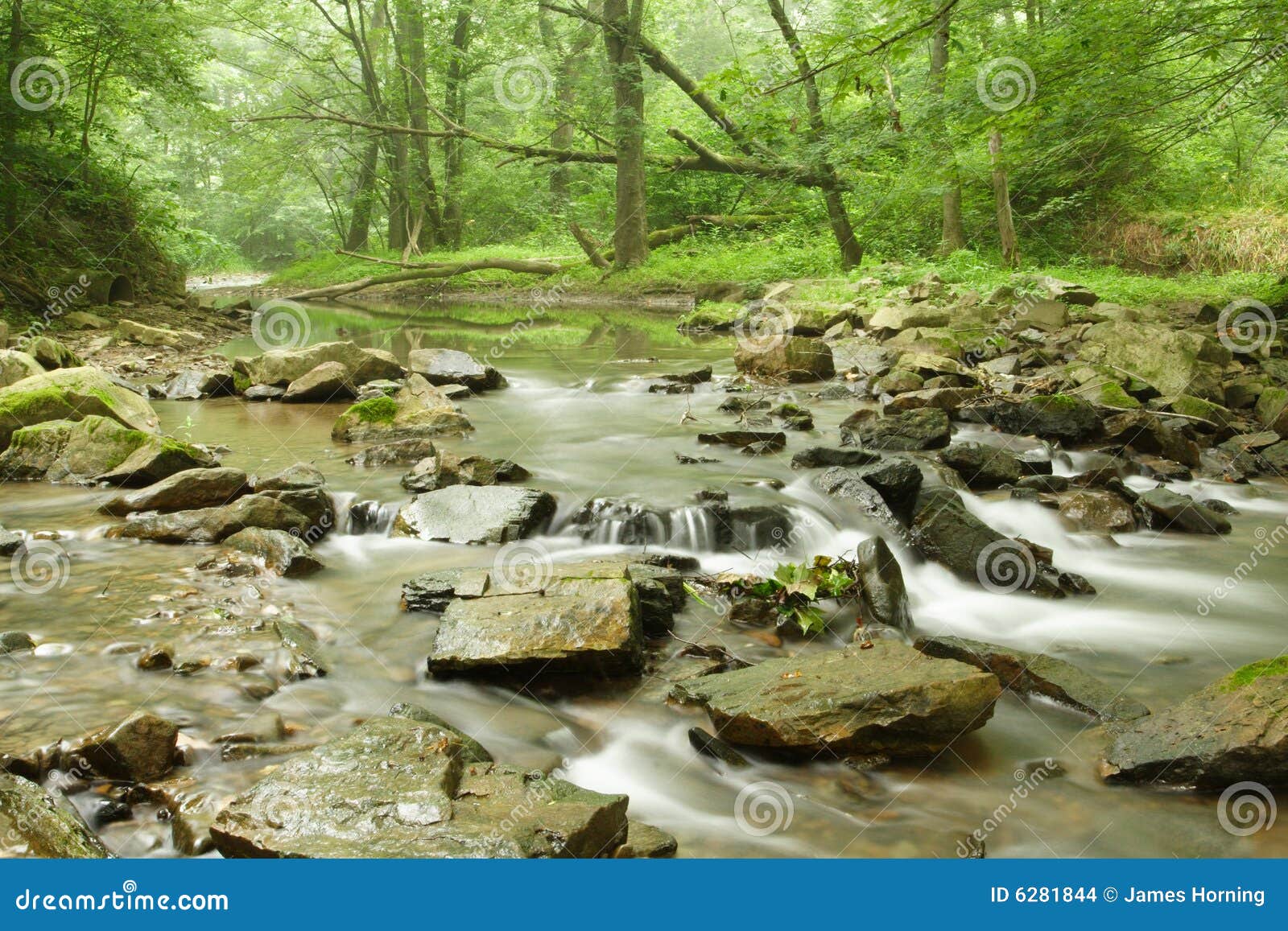 Scenic Stream in the Forest Stock Photo - Image of woodlands, scenic ...