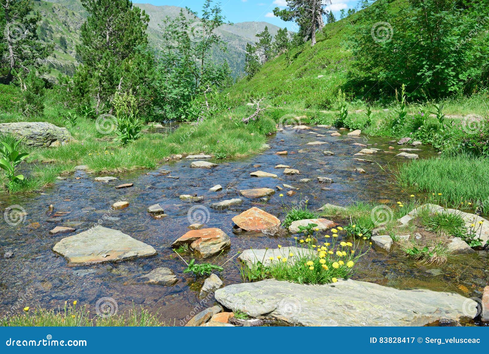 Scenic stream stock image. Image of rocky, background - 83828417