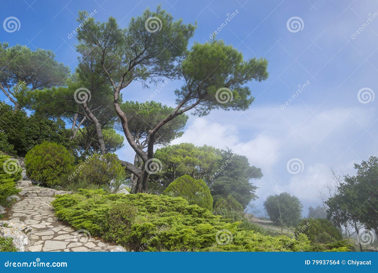 Scenic Summit of Mount Solaro Stock Photo - Image of cover, solaro ...
