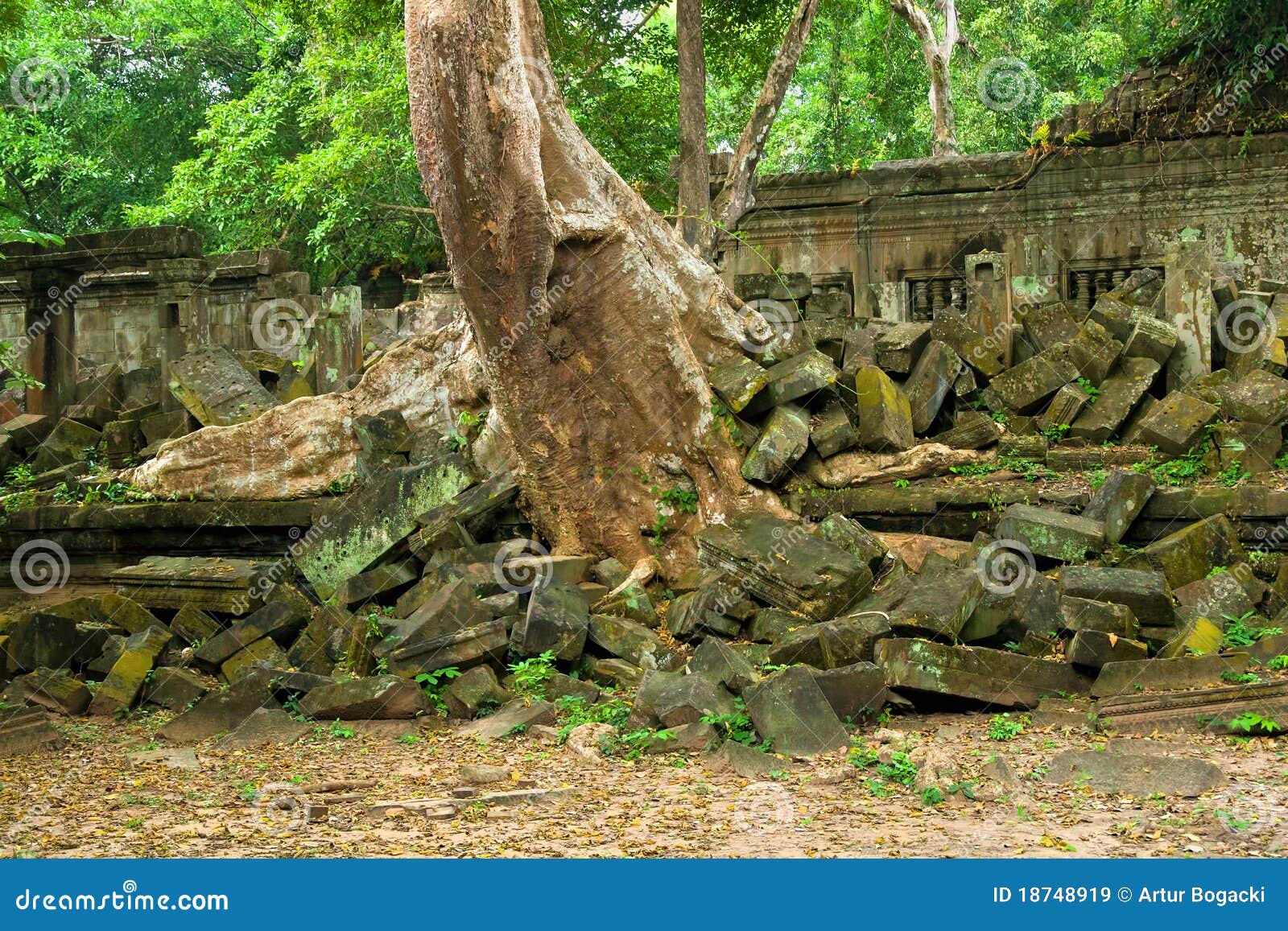 Scenic Temple Ruins in the Jungle Stock Image - Image of monument ...