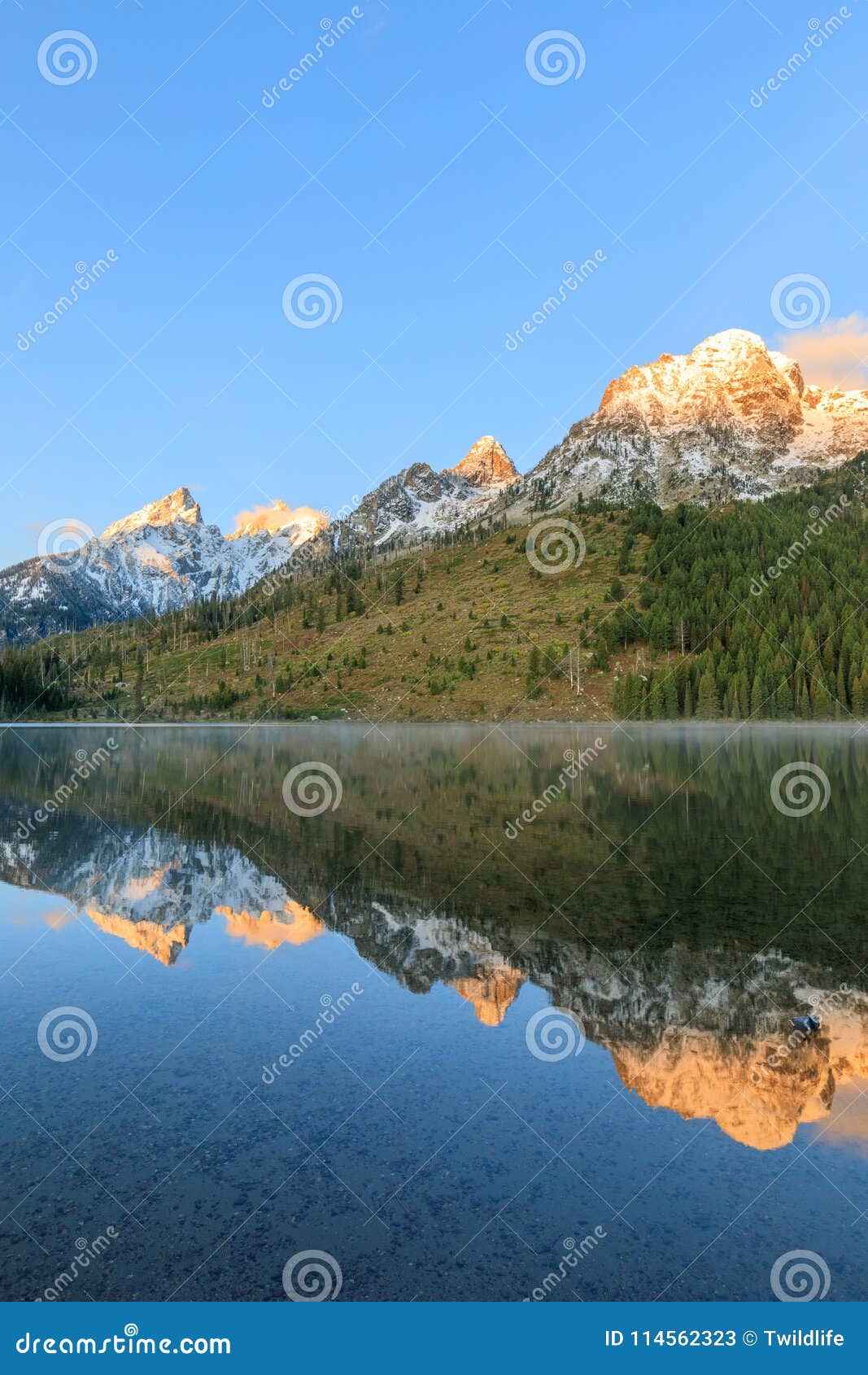 Scenic Teton Autumn Reflection in String Lake Stock Image - Image of ...