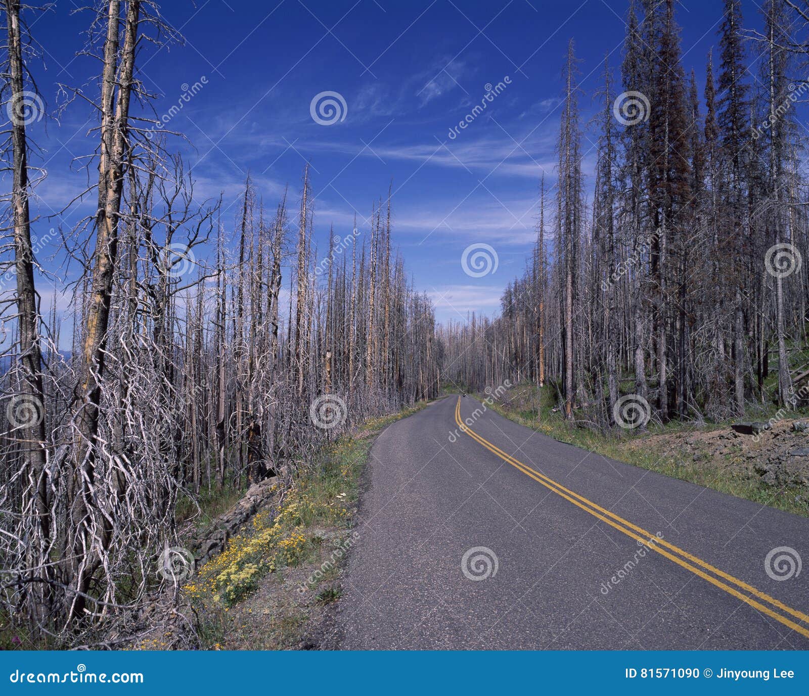 Scenic stock photo. Image of landmark, traffic, scenic - 81571090