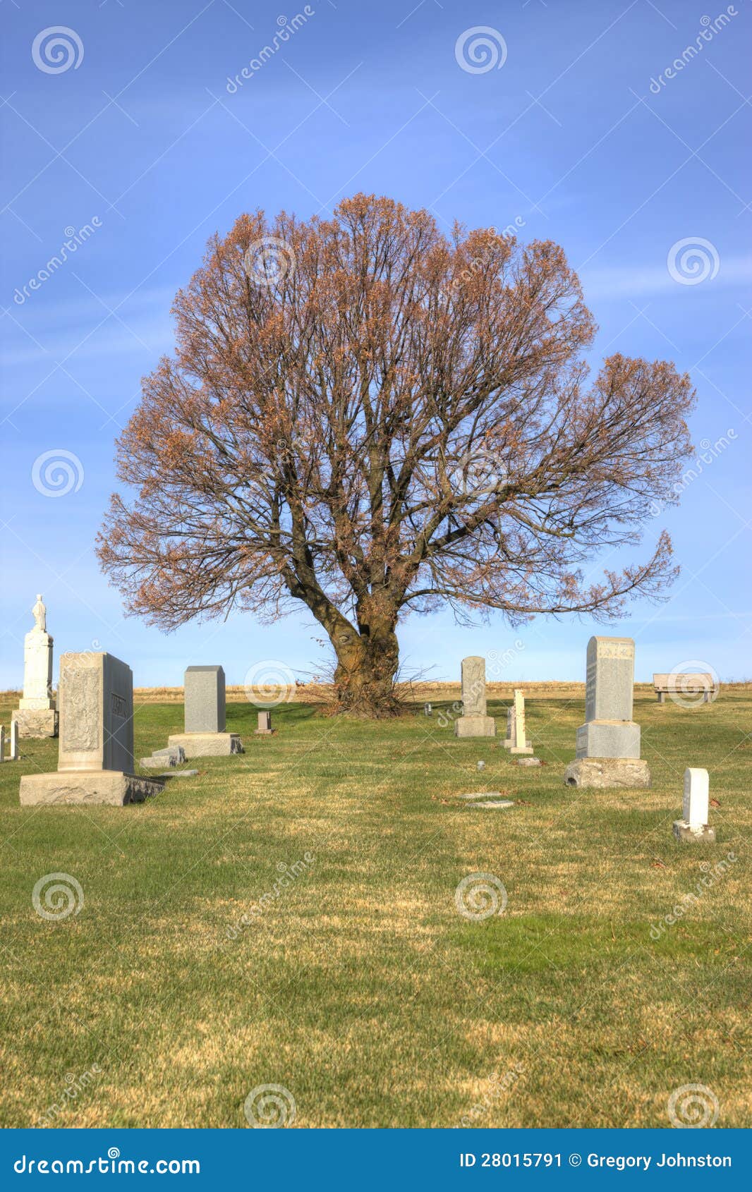 Scenic Tree at the Cemetery. Stock Image - Image of grass, horizon ...