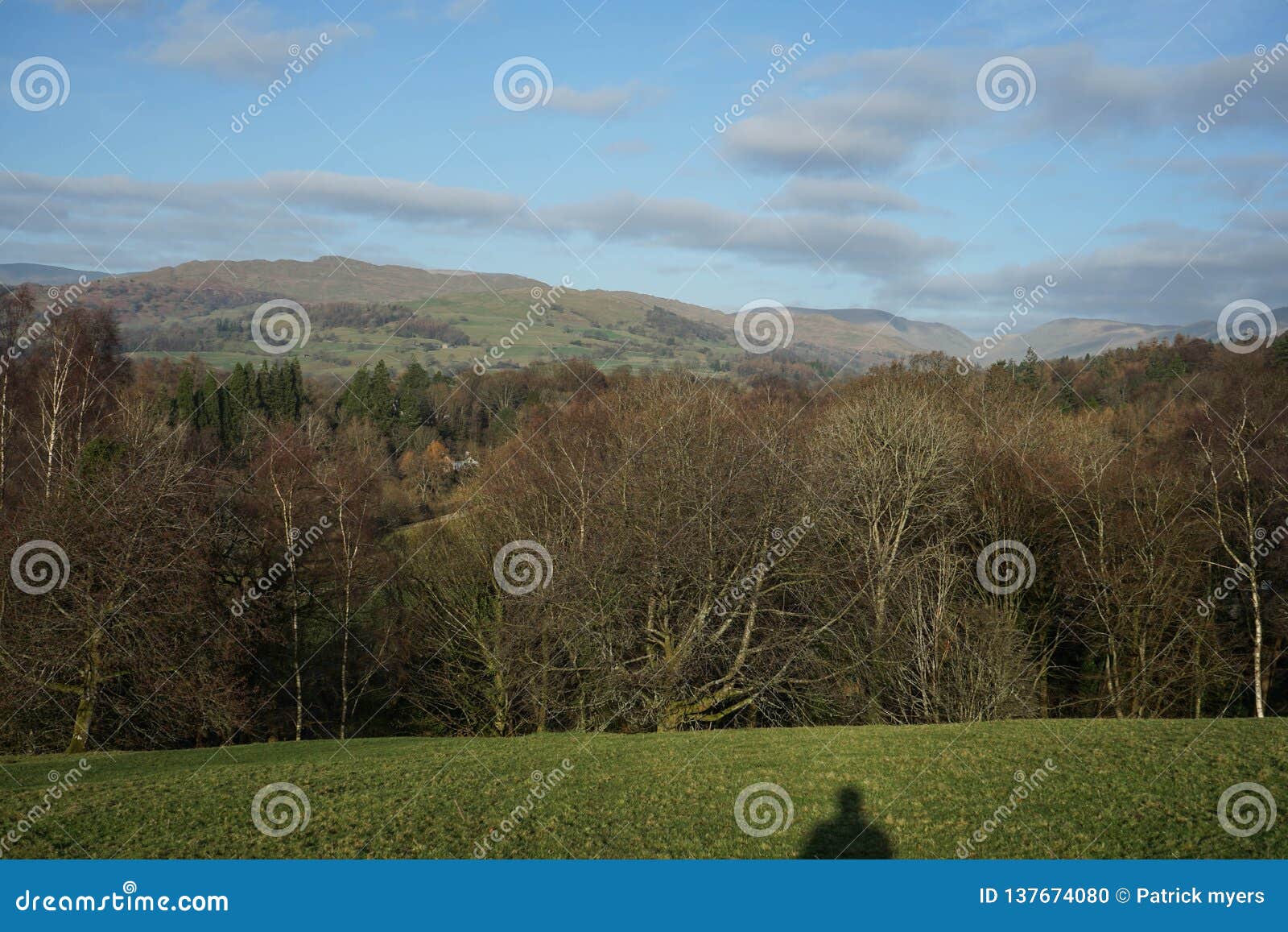 Scenic stock photo. Image of tree, environment, scenic - 137674080