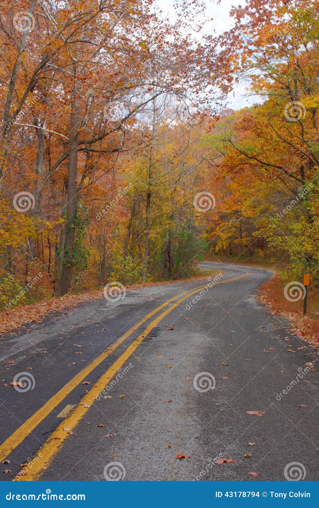 Scenic Two Lane Road with Curves in the Fall Stock Photo - Image of ...