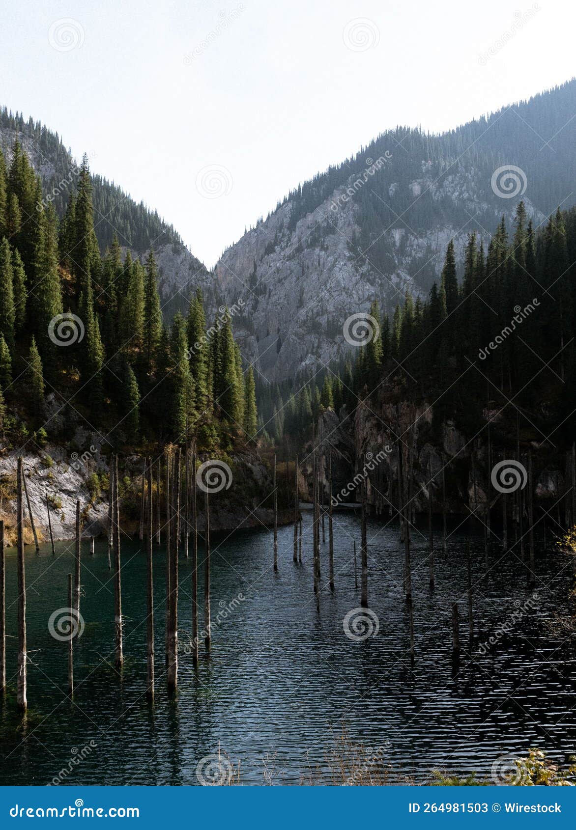 Scenic Vertical Shot of a Tranquil River Surrounded by Beautiful ...