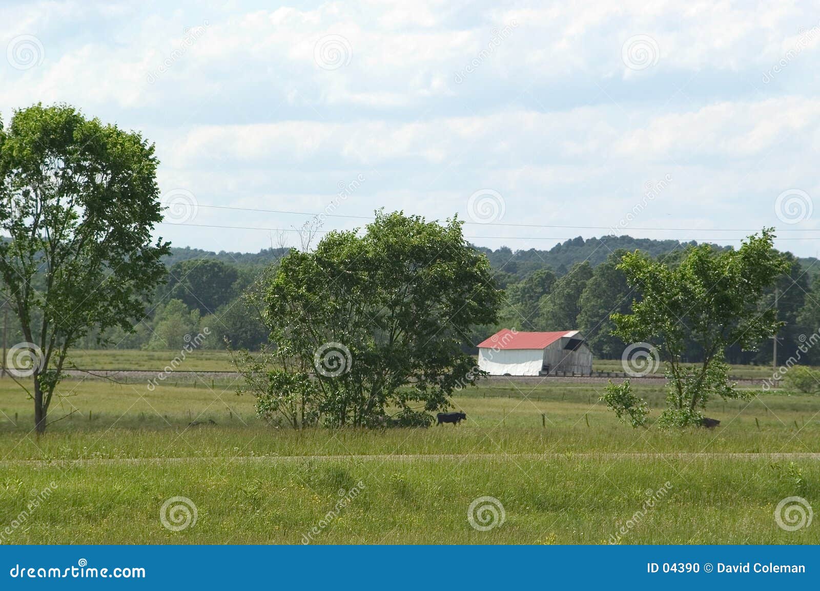 Scenic View Picture. Image: 4390