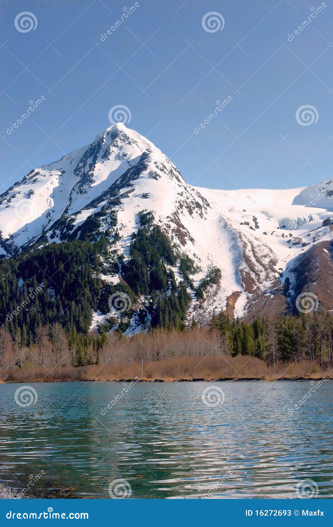 Scenic view in Alaska stock image. Image of scenic, alaska - 16272693