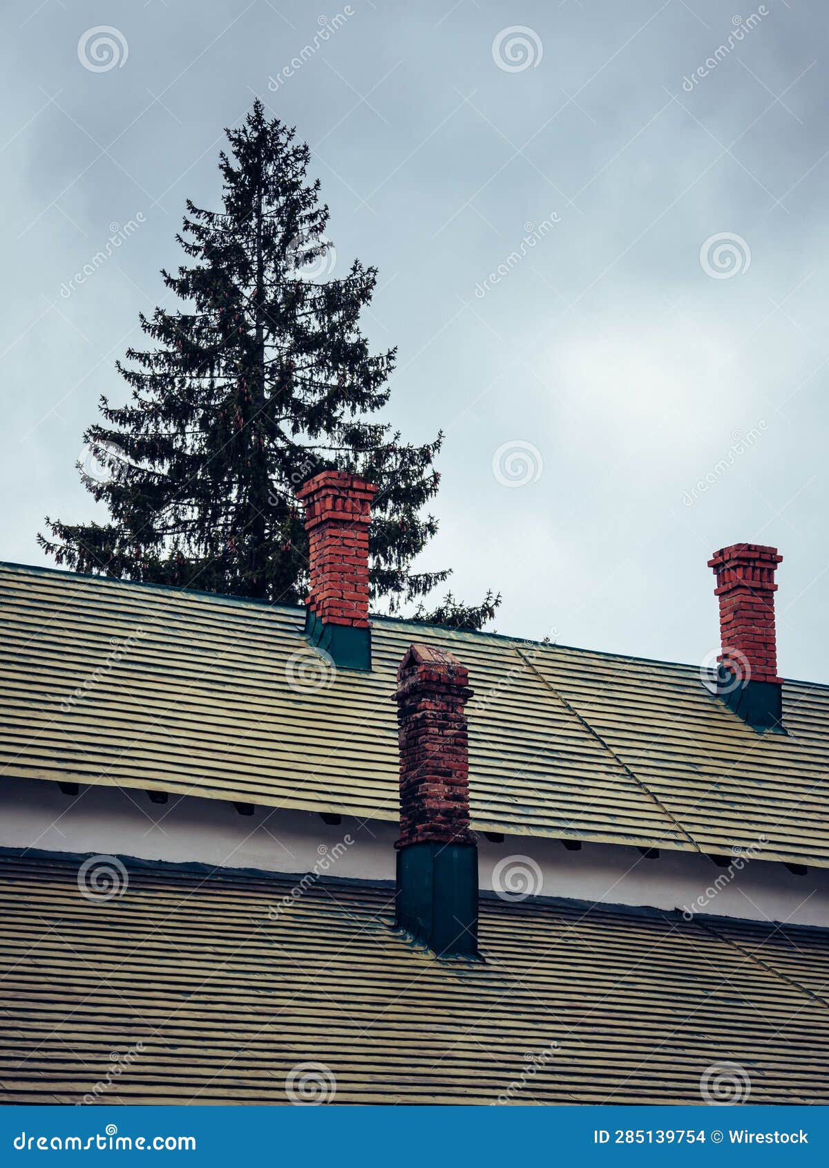 Scenic View of an Attic Featuring Three Chimneys and a Tall Tree on the ...