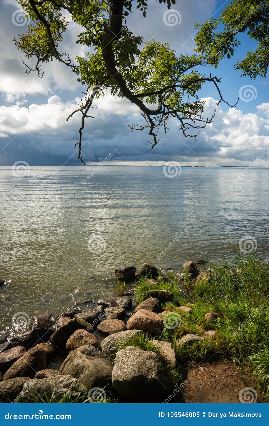 Scenic View of the Baltic Gulf through Tree Branches Stock Image ...