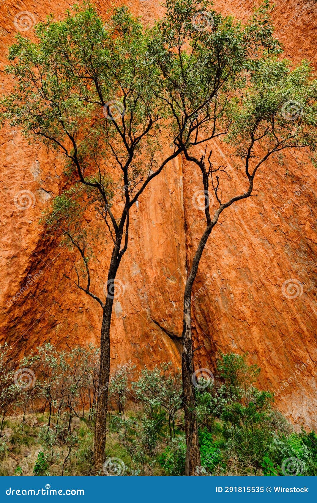 Scenic View of a Barren Desert Landscape with Green Shrubs Stock Image ...