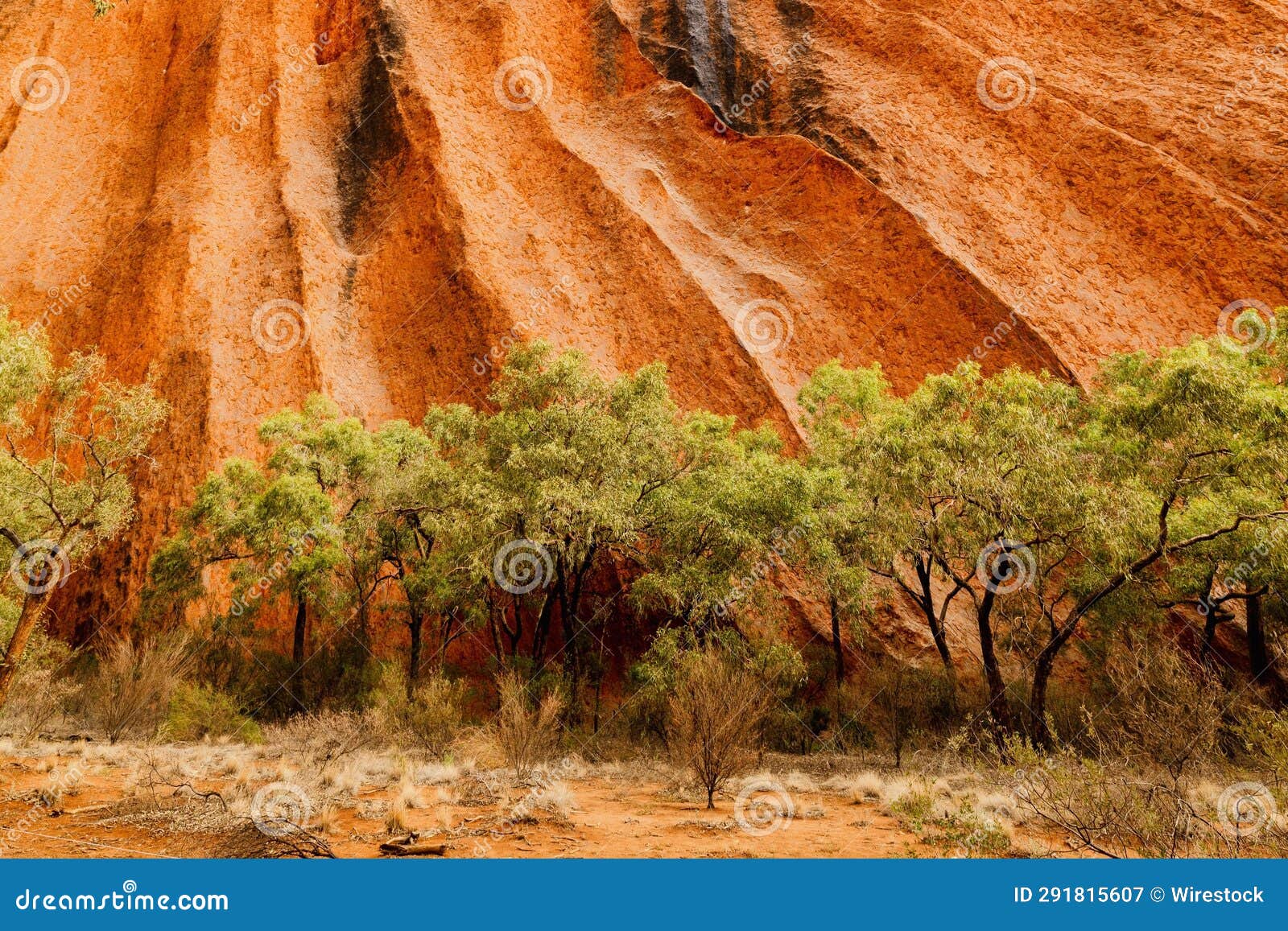 Scenic View of a Barren Desert Landscape with Green Shrubs Stock Image ...