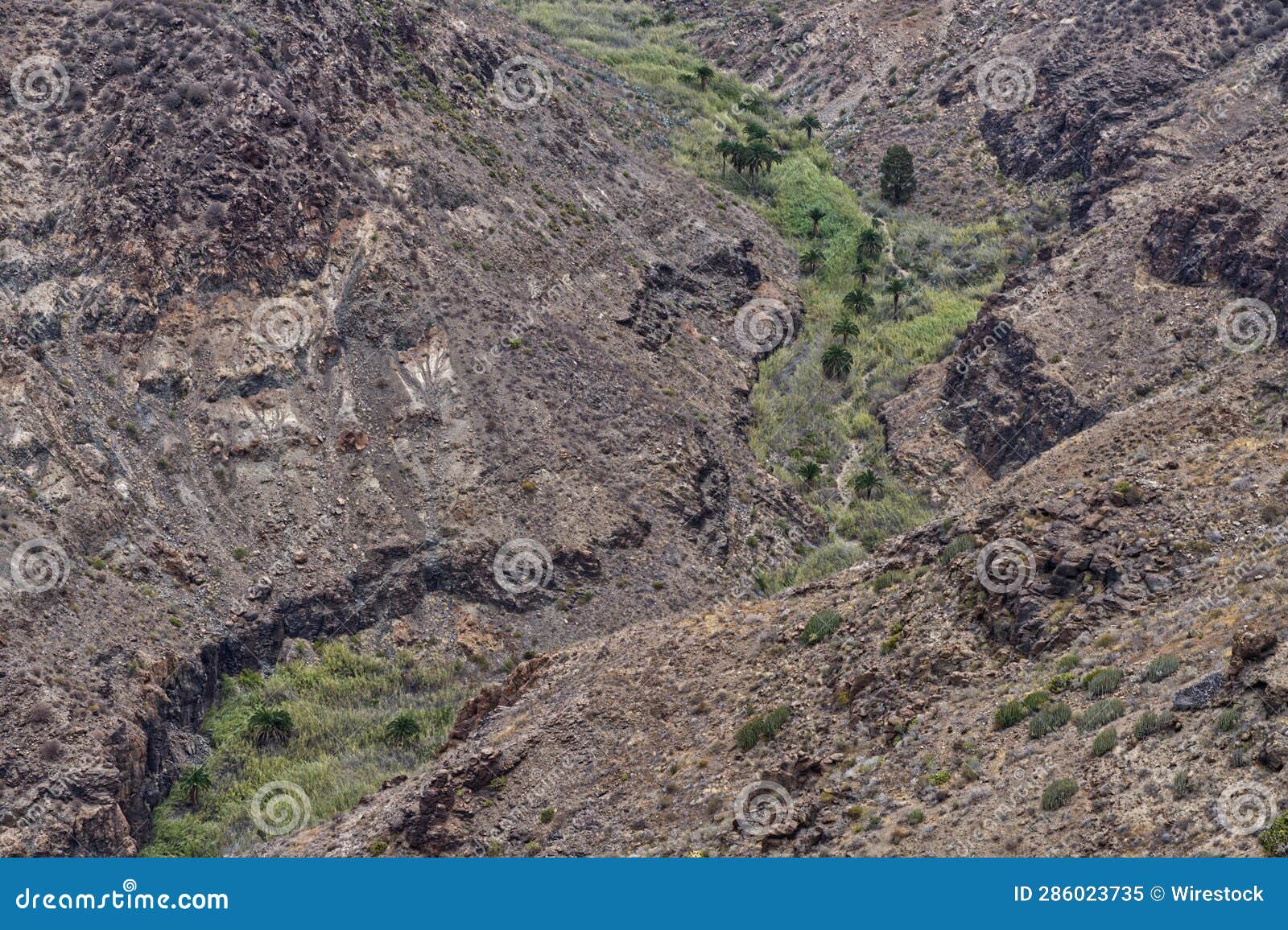 Scenic View of Barren Rock Formations in a Canyon Stock Image - Image ...