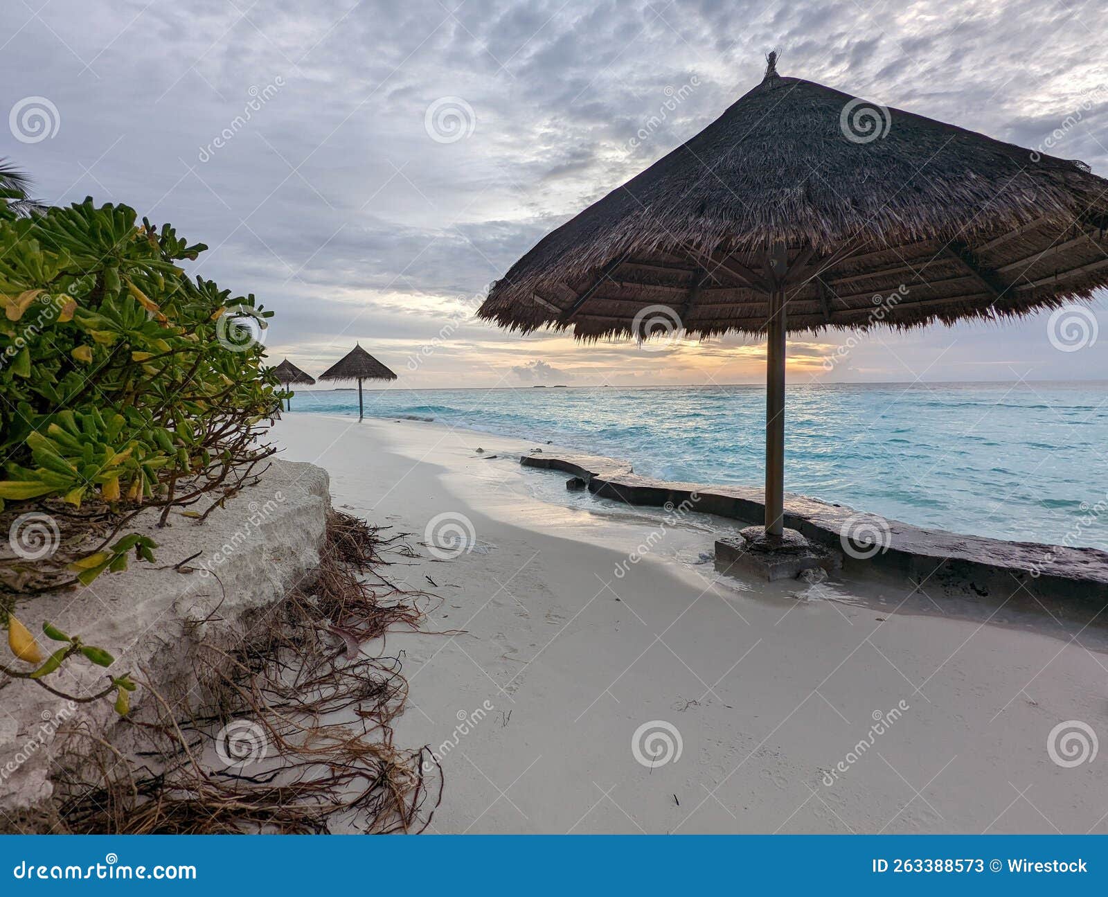 Scenic View of the Beautiful Beach of Maldives during Sunset Stock ...