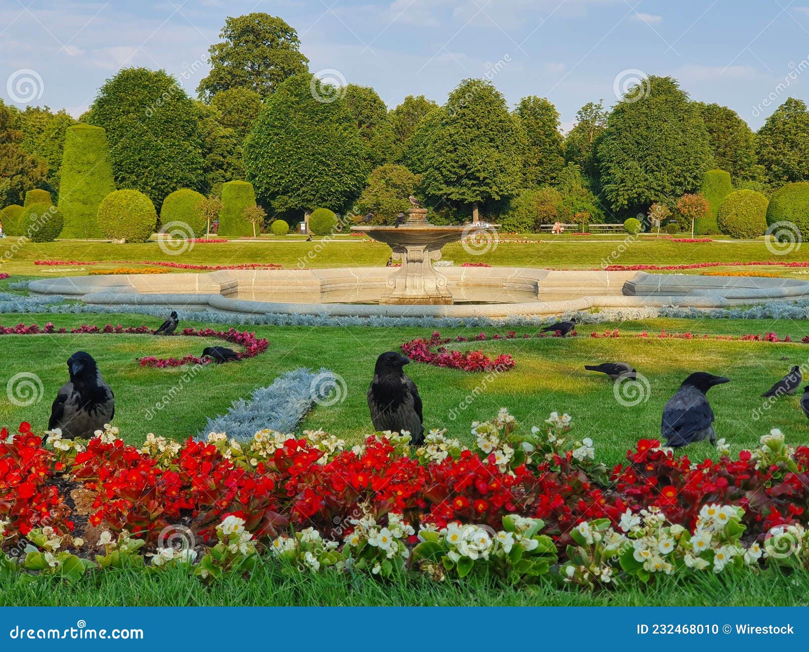 Scenic View of a Beautiful Garden with Birds Stock Photo - Image of ...