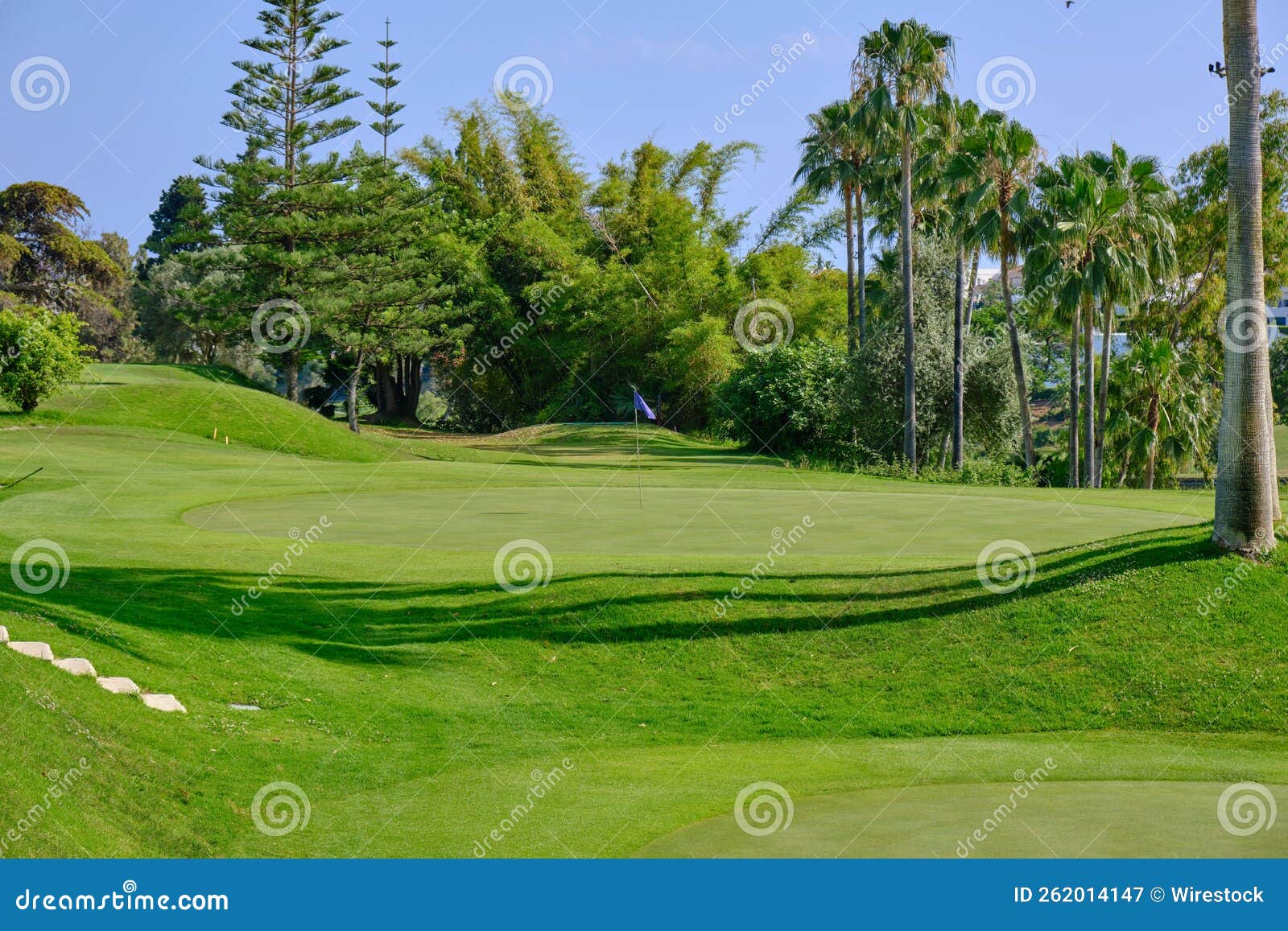Scenic View of a Beautiful Green Park with Different Types of Trees or ...