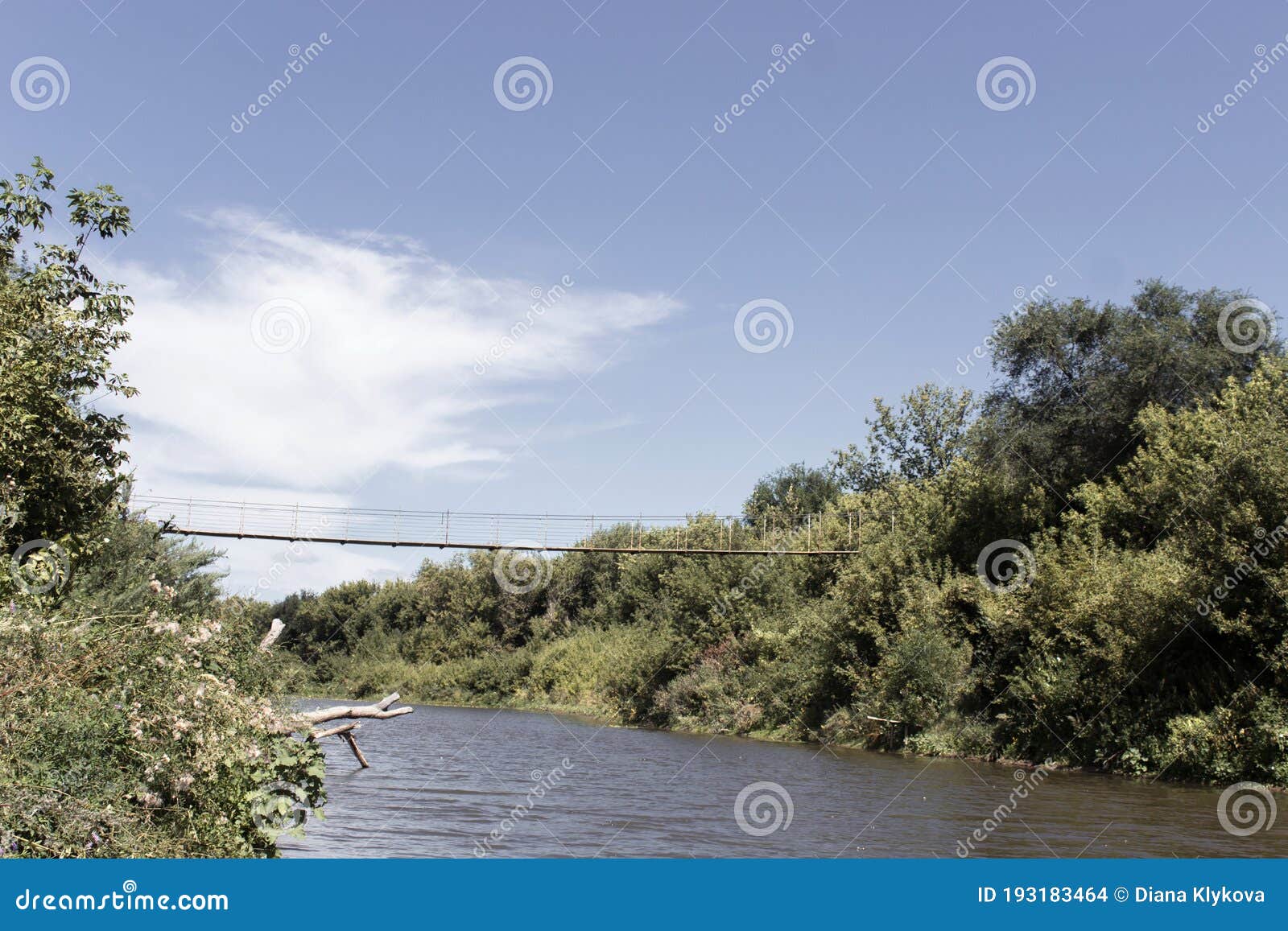 Scenic View of the Beautiful, Peaceful River with Ducks. Summer ...