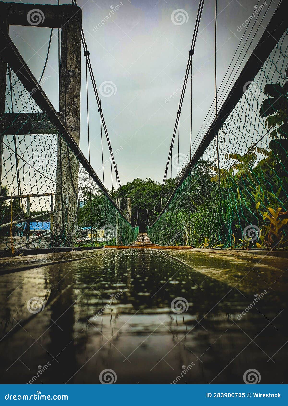 Scenic View of a Bridge after a Refreshing Morning Rain Stock Image ...