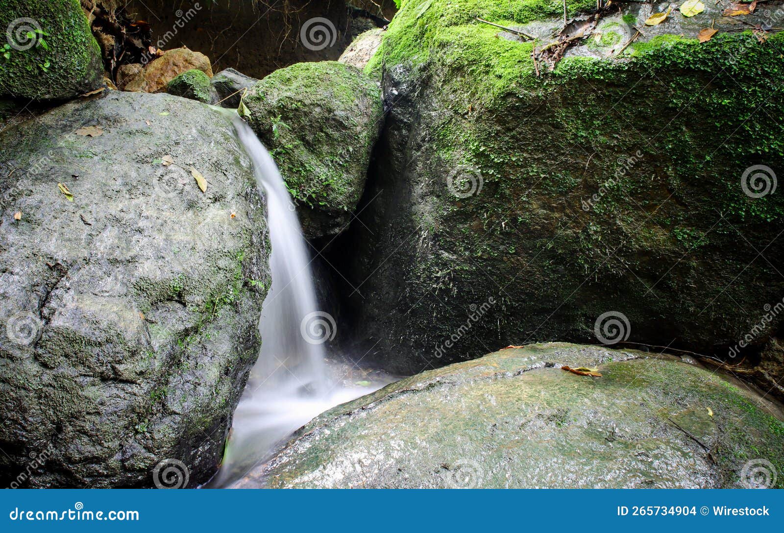 Scenic View of a Cascade Flowing through Rocks Covered with Moss in a ...