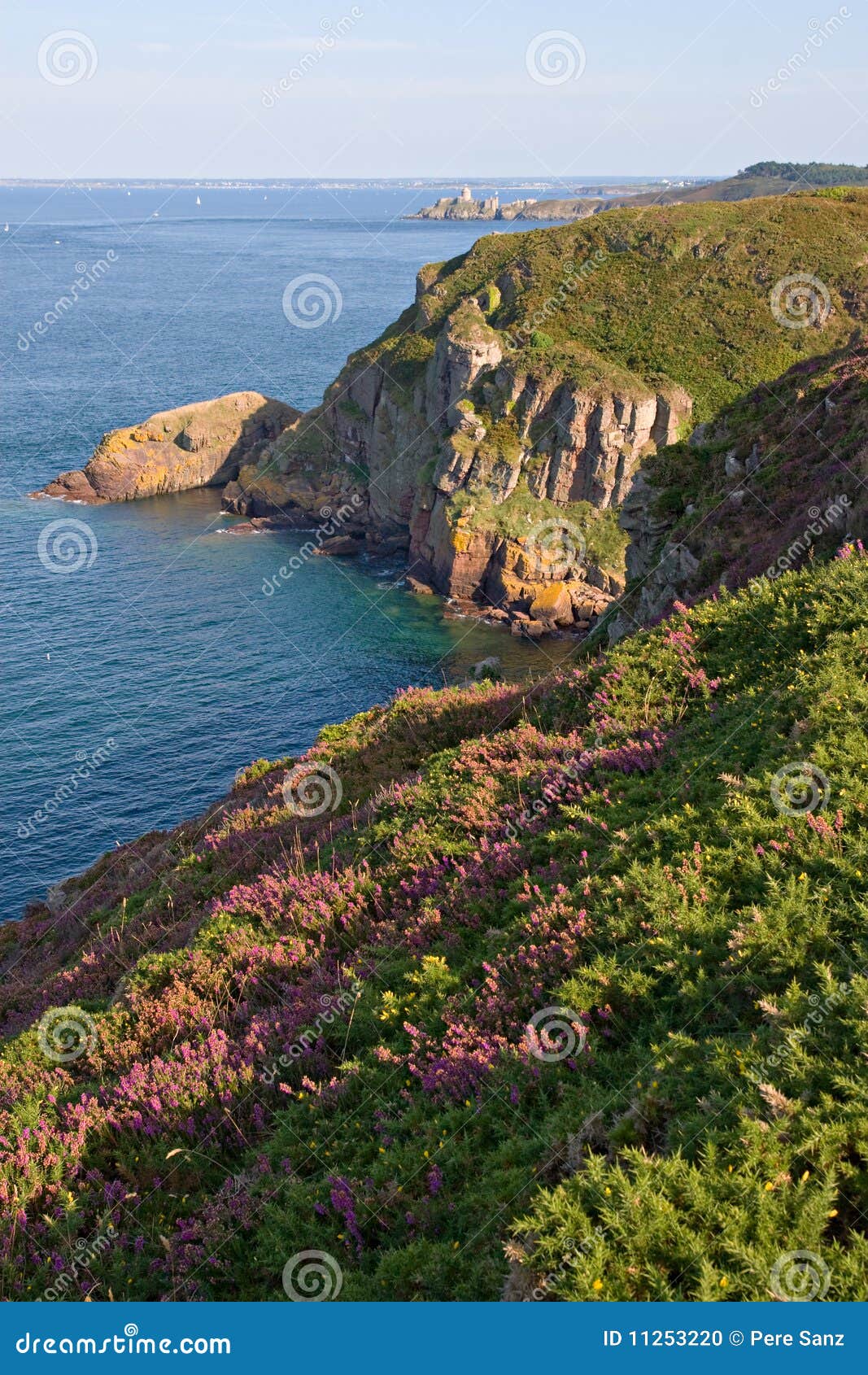Scenic View of the Cliffs in the Brittany Coast Stock Photo - Image of ...