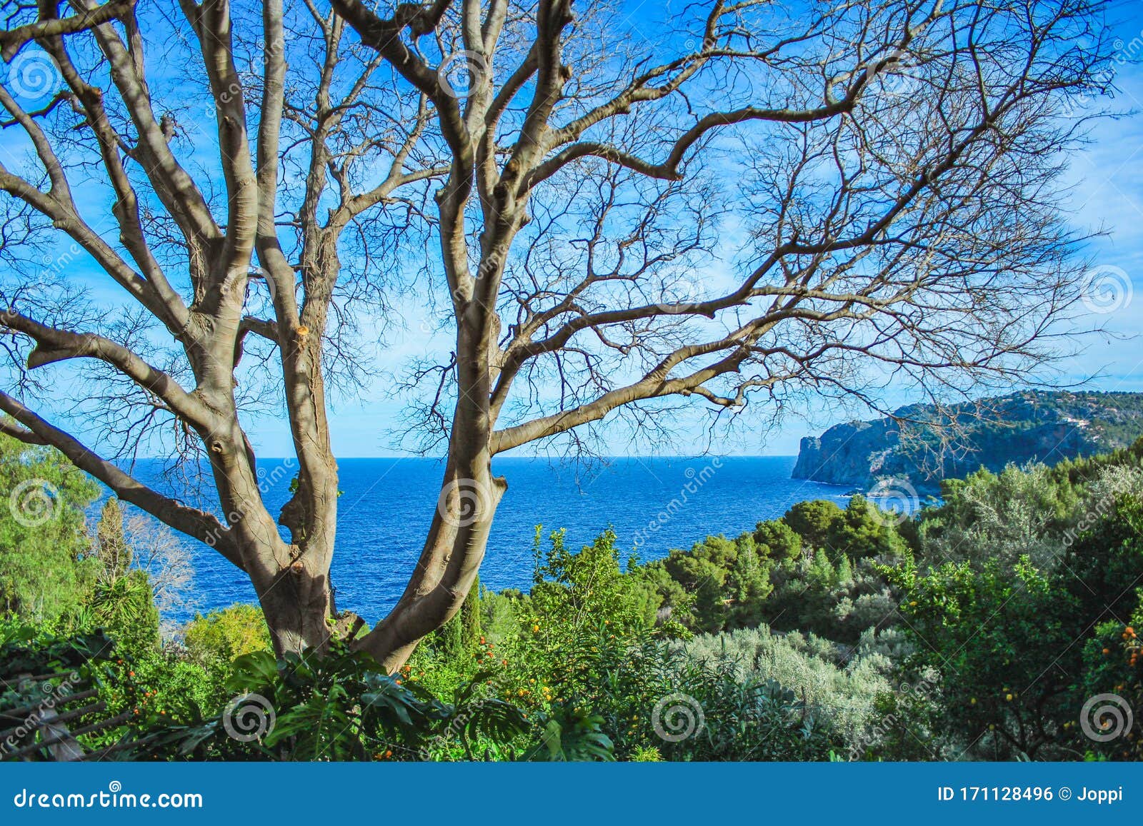 Scenic View of Coast in Deia, Mallorca, Spain Stock Photo - Image of ...