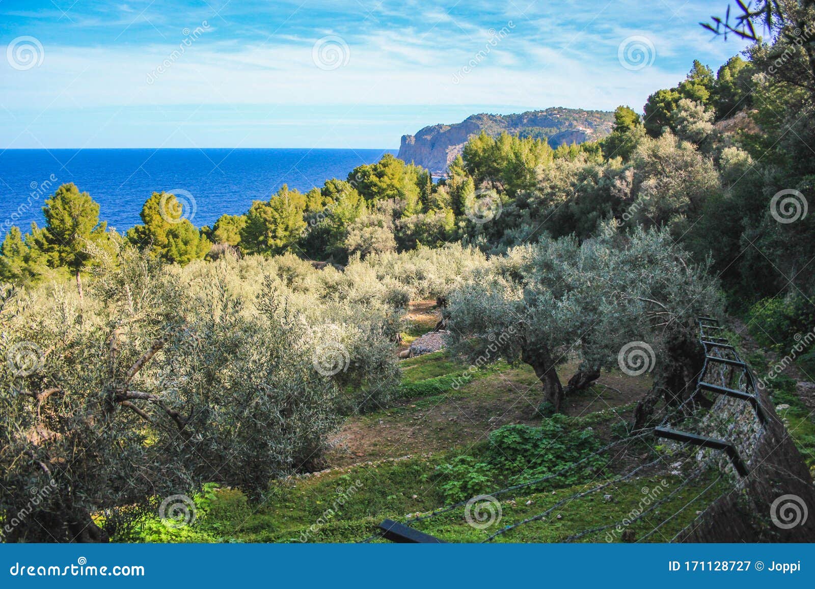 Scenic View of Coast in Deia, Mallorca, Spain Stock Image - Image of ...