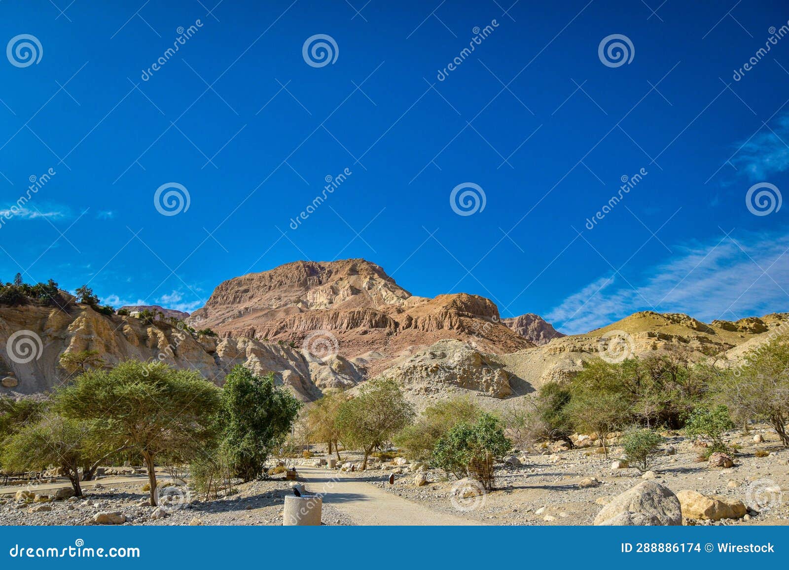 Scenic View of a Desert Landscape with Mountains in the Background ...