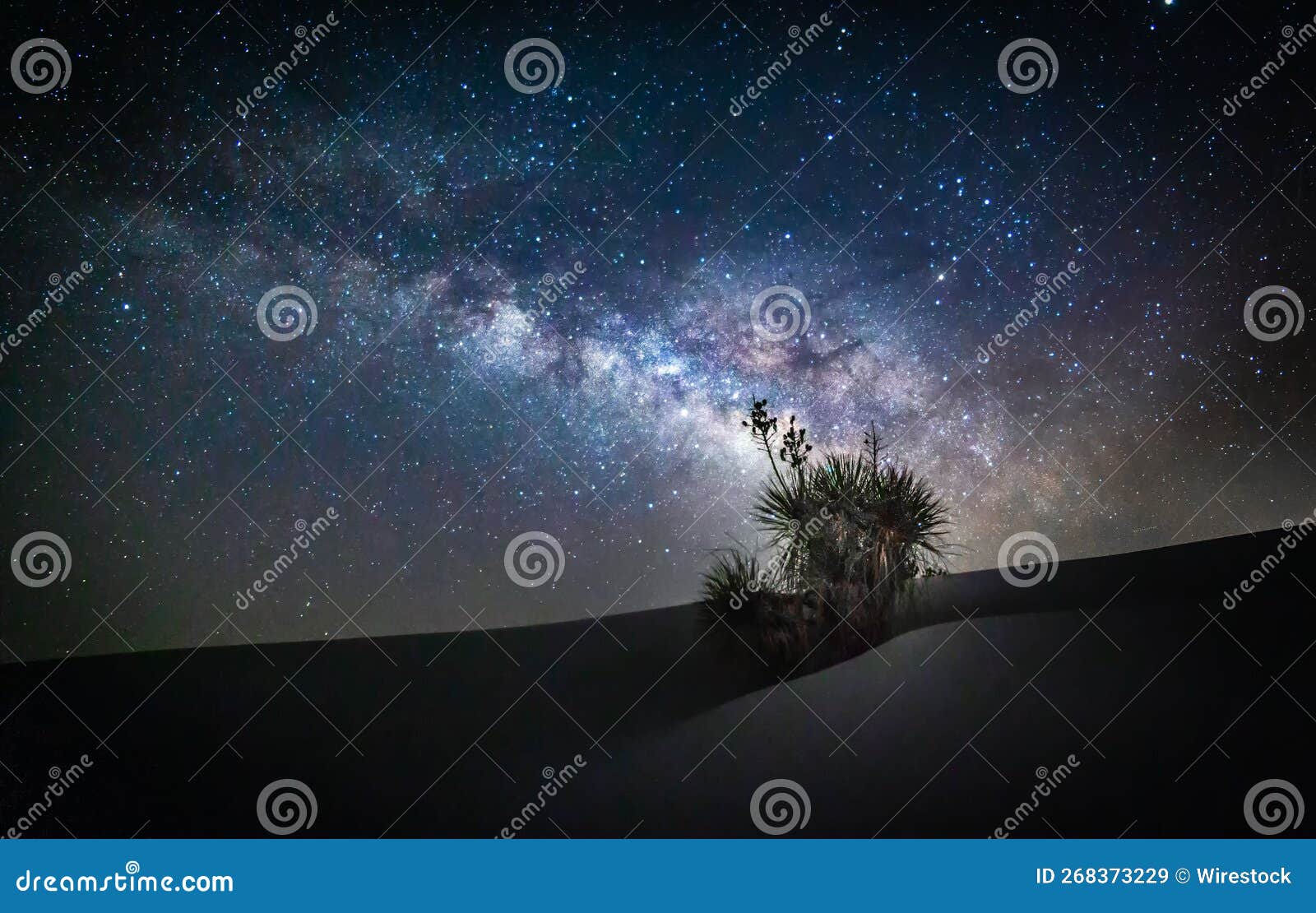 Scenic View of a Desert at Night with Starry Sky in the Background ...