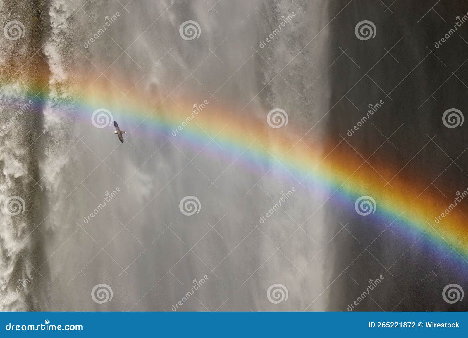Scenic View of an Eagle Flying Next To a Waterfall with a Rainbow in ...