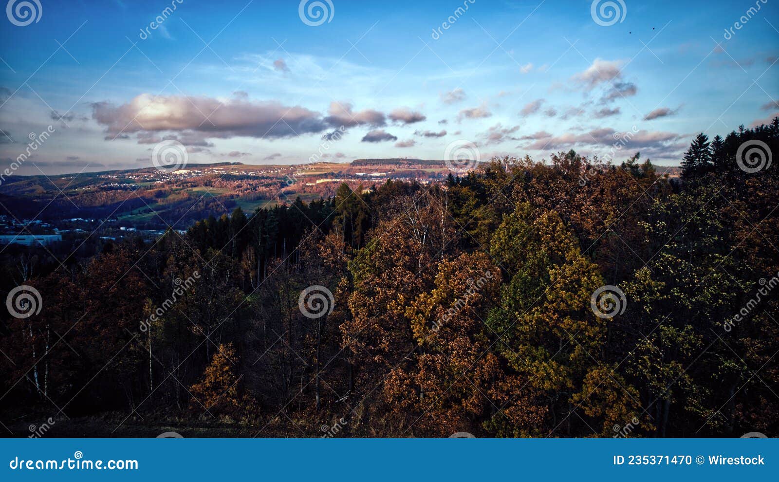 Scenic View of a Forest with Lush Trees in Autumn on a Cloudy Sky ...