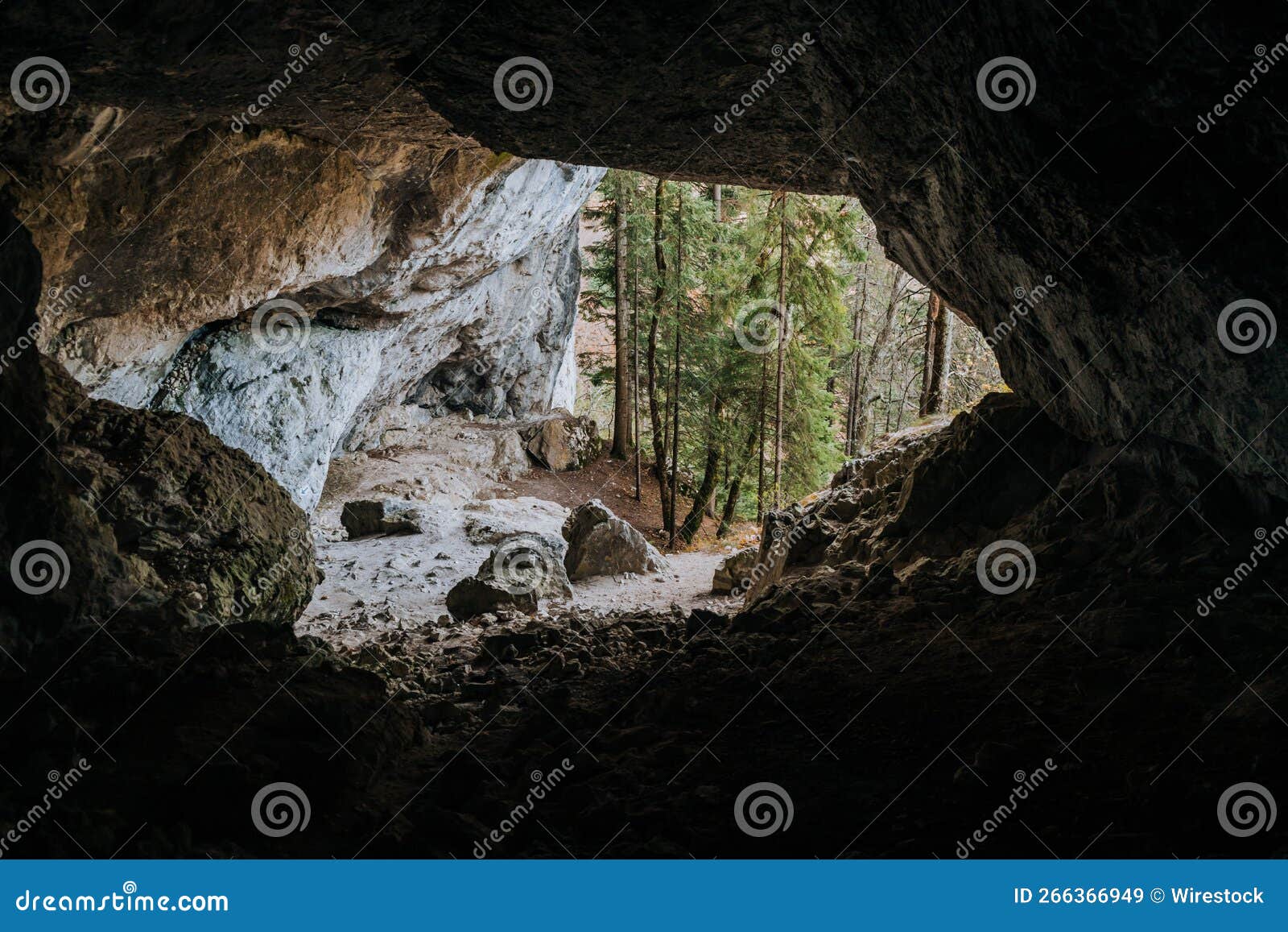 Scenic View of Forest Trees from Inside of a Dark Cave Stock Image ...