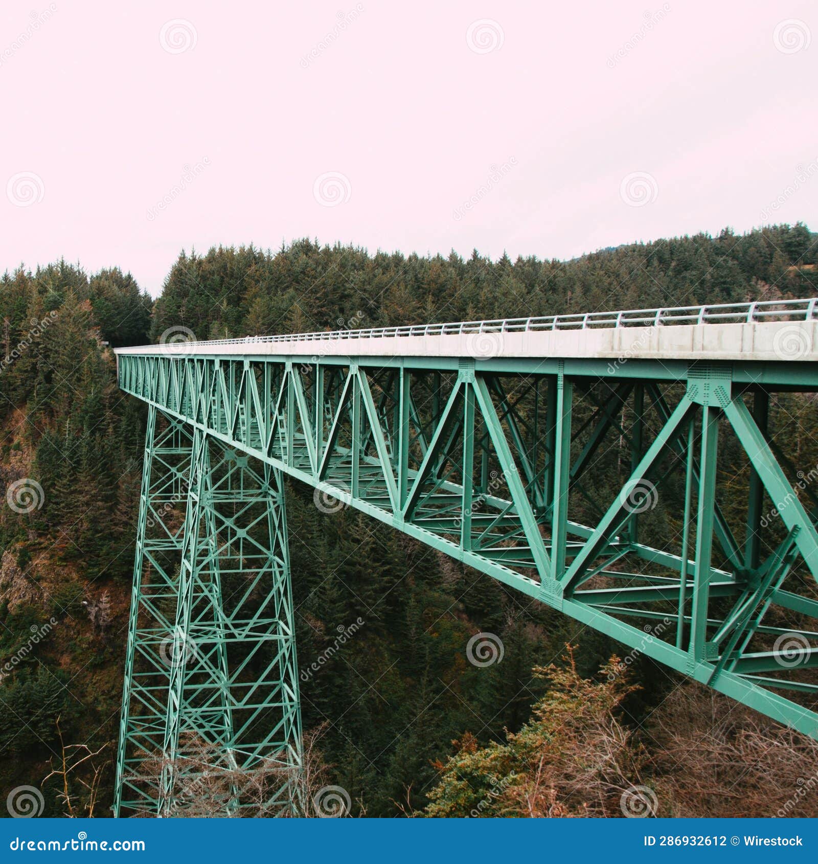 Scenic View of a Green Bridge Arching Over a River, Surrounded by Trees ...