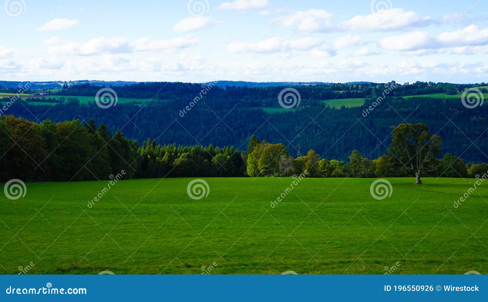 Scenic View of a Greenfield in Switzerland Stock Photo - Image of leaf ...