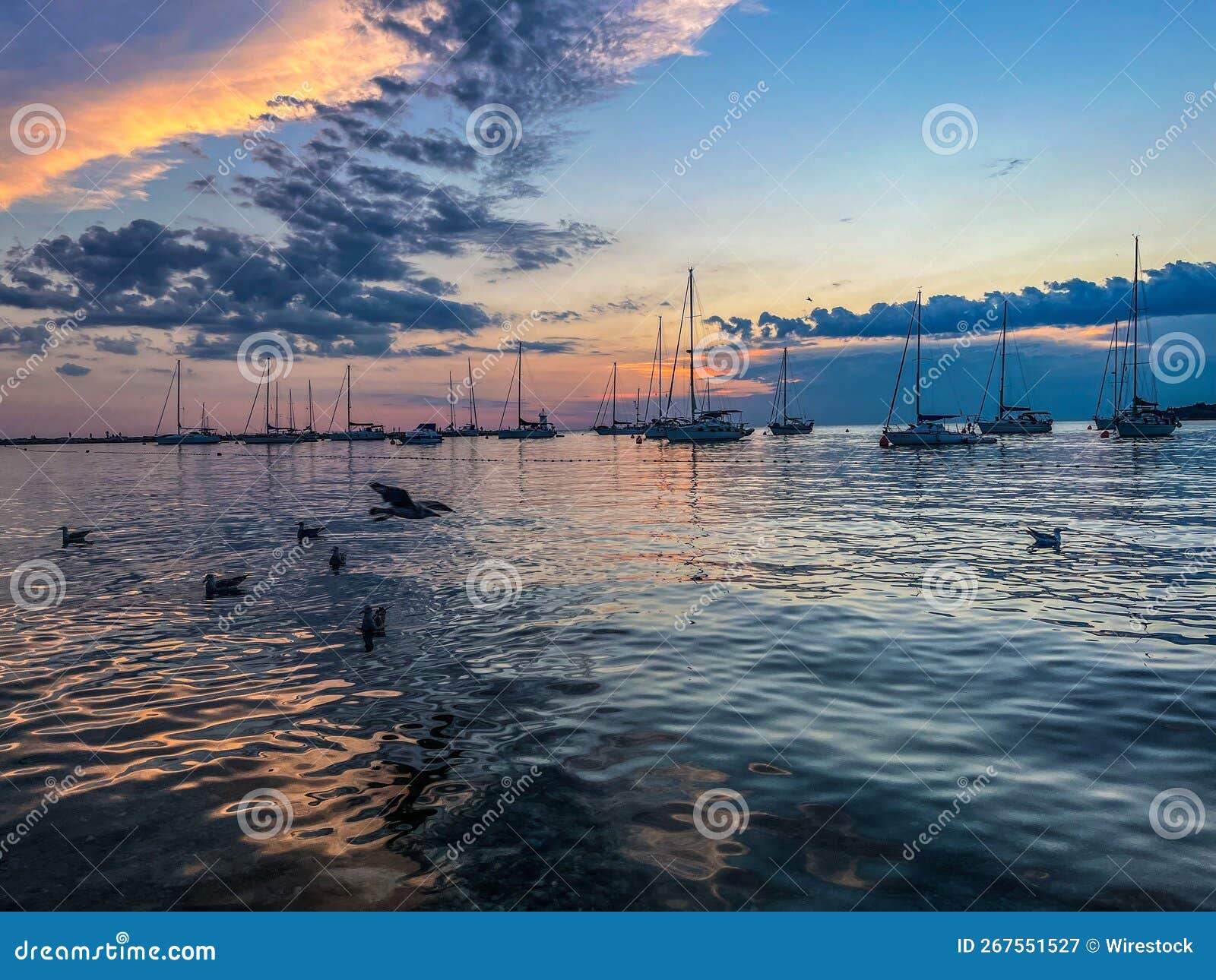 Scenic View of a Harbor and Birds at Sunset Stock Image - Image of ...