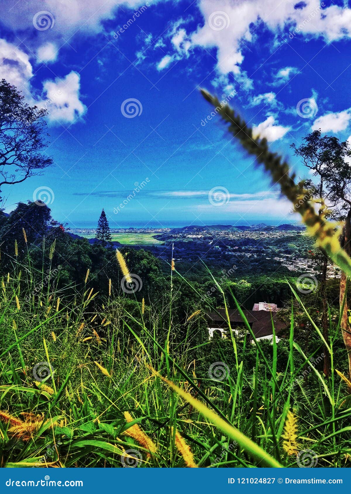 Scenic View Hawaii Blue Sky Stock Image - Image of greenery, nature ...