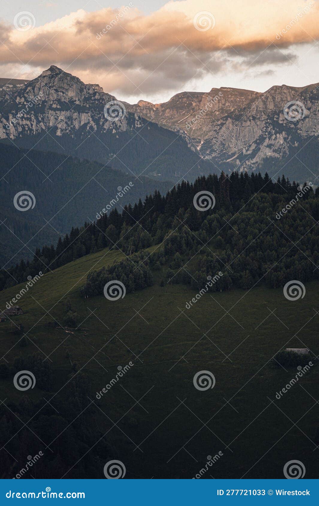 Scenic View of a Hillside with Numerous Trees Dotting the Landscape ...