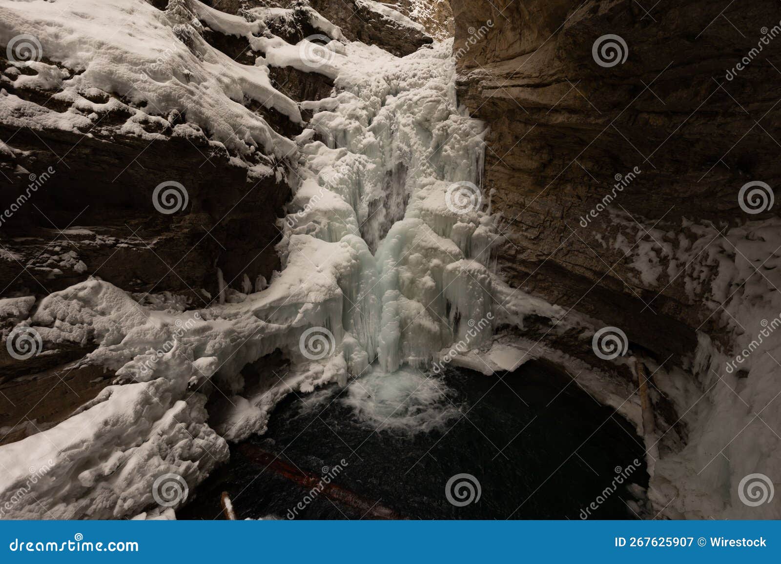 Scenic View of Iced Water Flowing Down the River in a Forest in ...