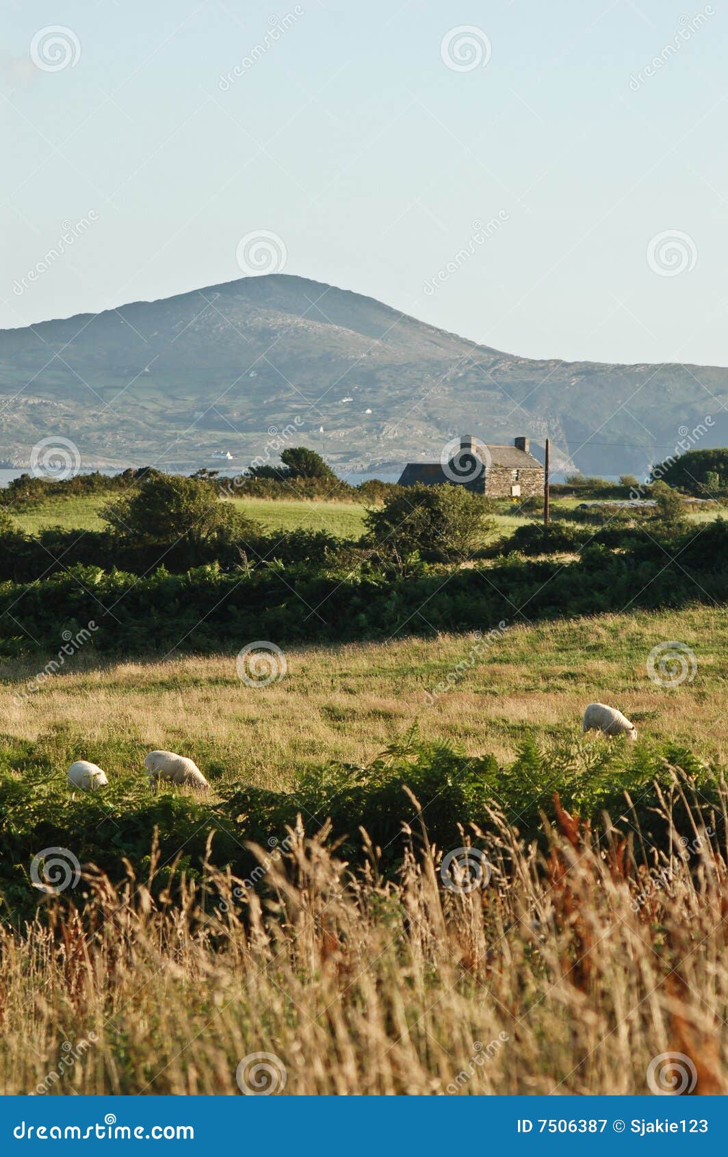 Scenic view, ireland stock image. Image of house, color - 7506387