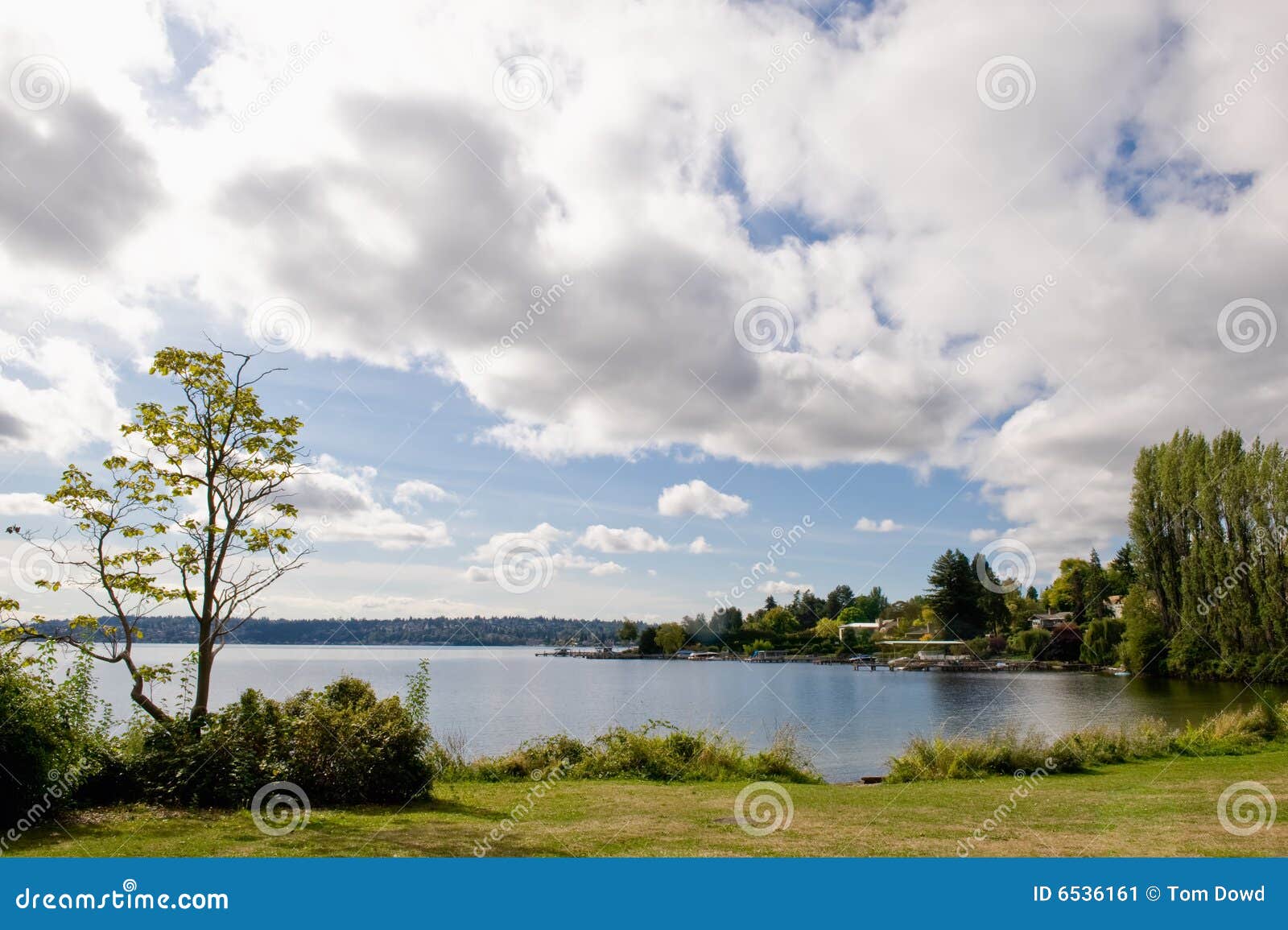 Scenic View of Lake Washington Stock Image - Image of clouds, scenery ...