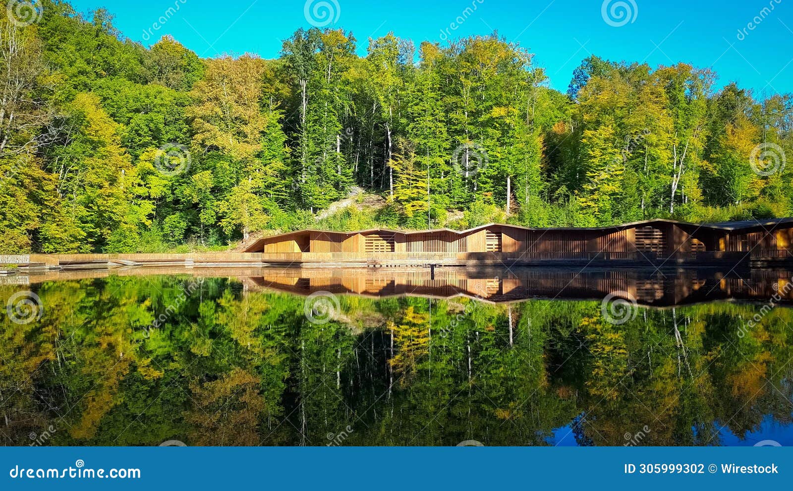 Scenic View of a Lakeside Boathouse in a Green Forest Stock Photo ...