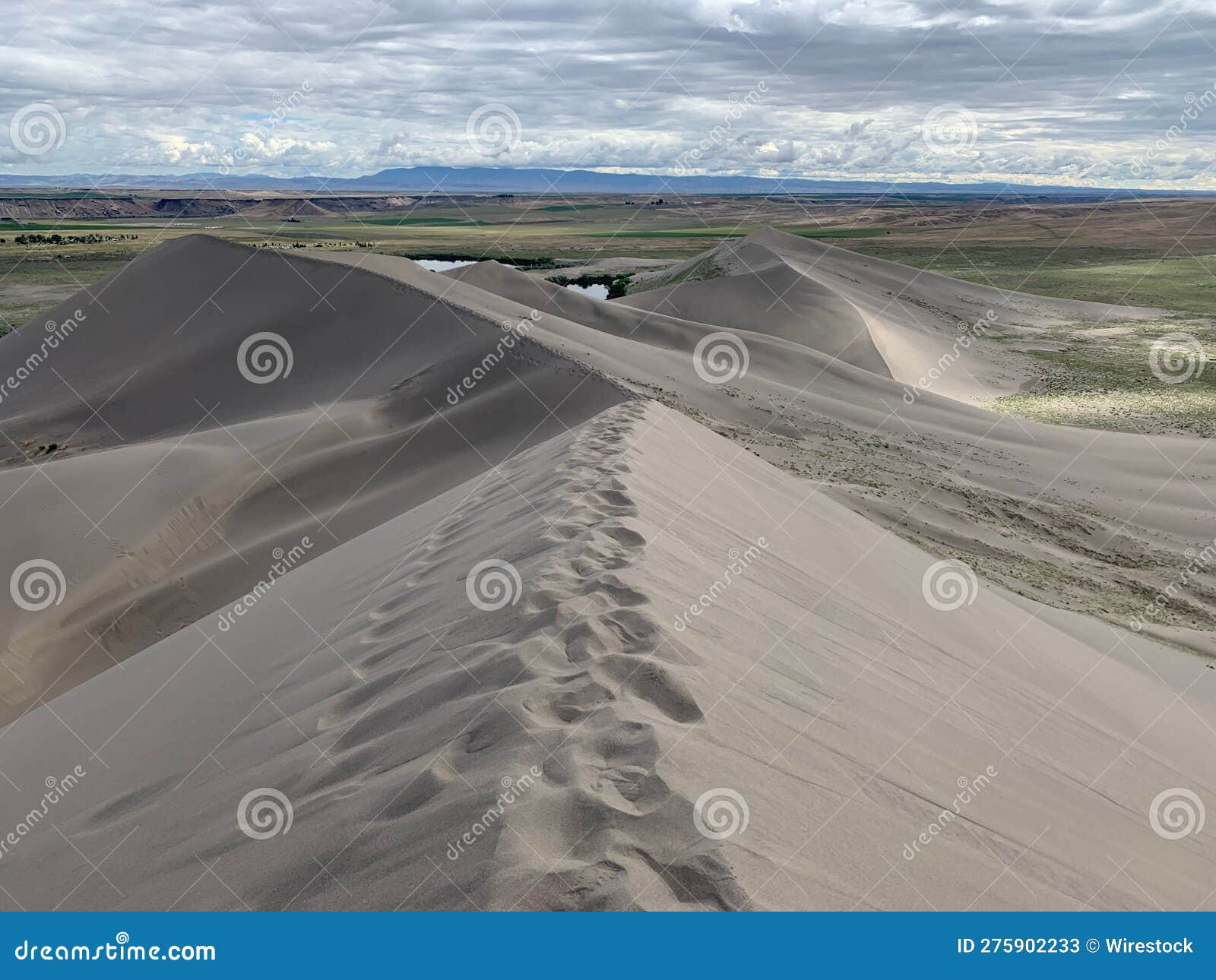 Scenic View of a Landscape Featuring an Expansive Desert of Sand Dunes ...