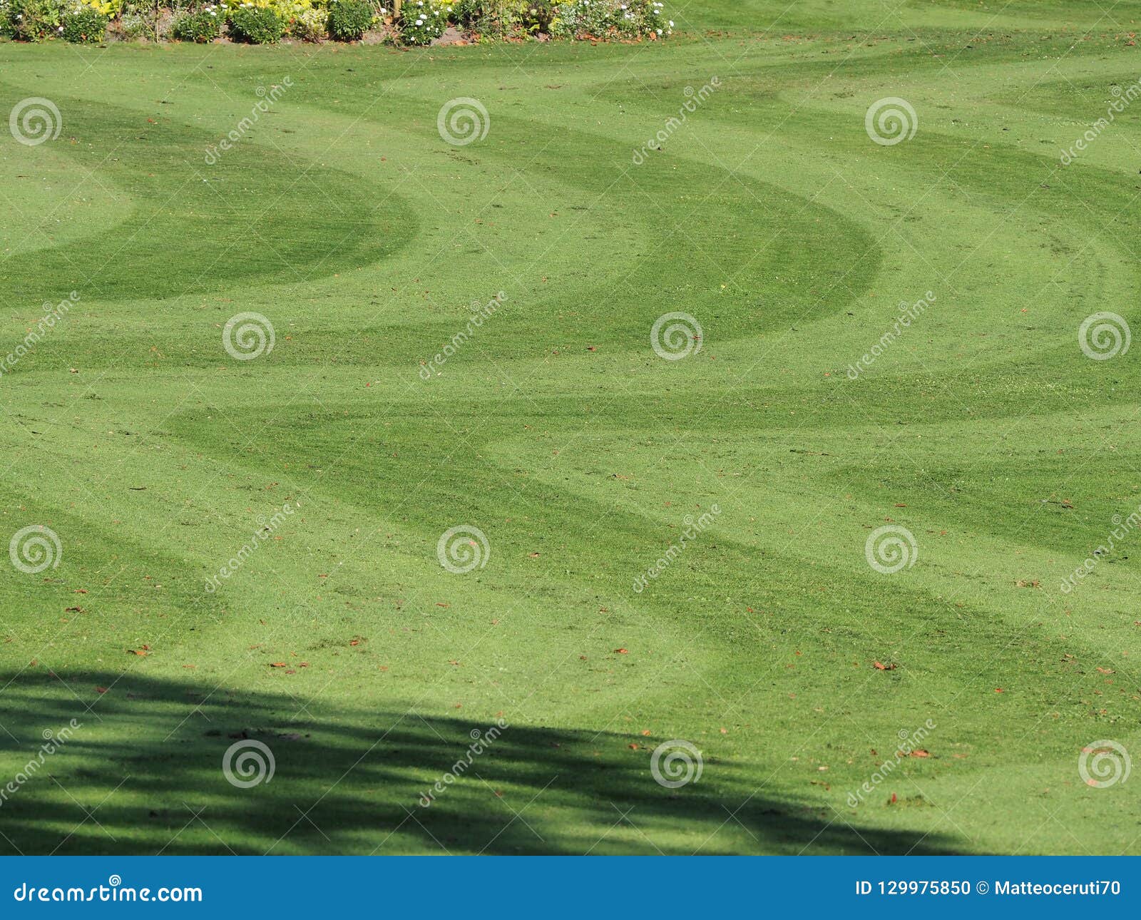 Scenic View of Lawn in Public Park with Wavy Lines Just Cut Grass Stock ...