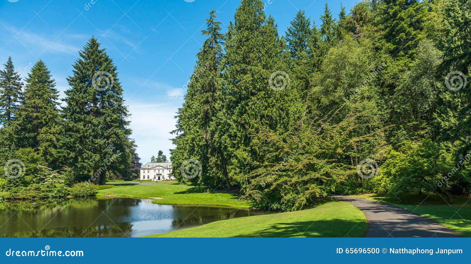 Scenic View of Lawn and Trees with Reflection in the Lagoon in B Stock ...