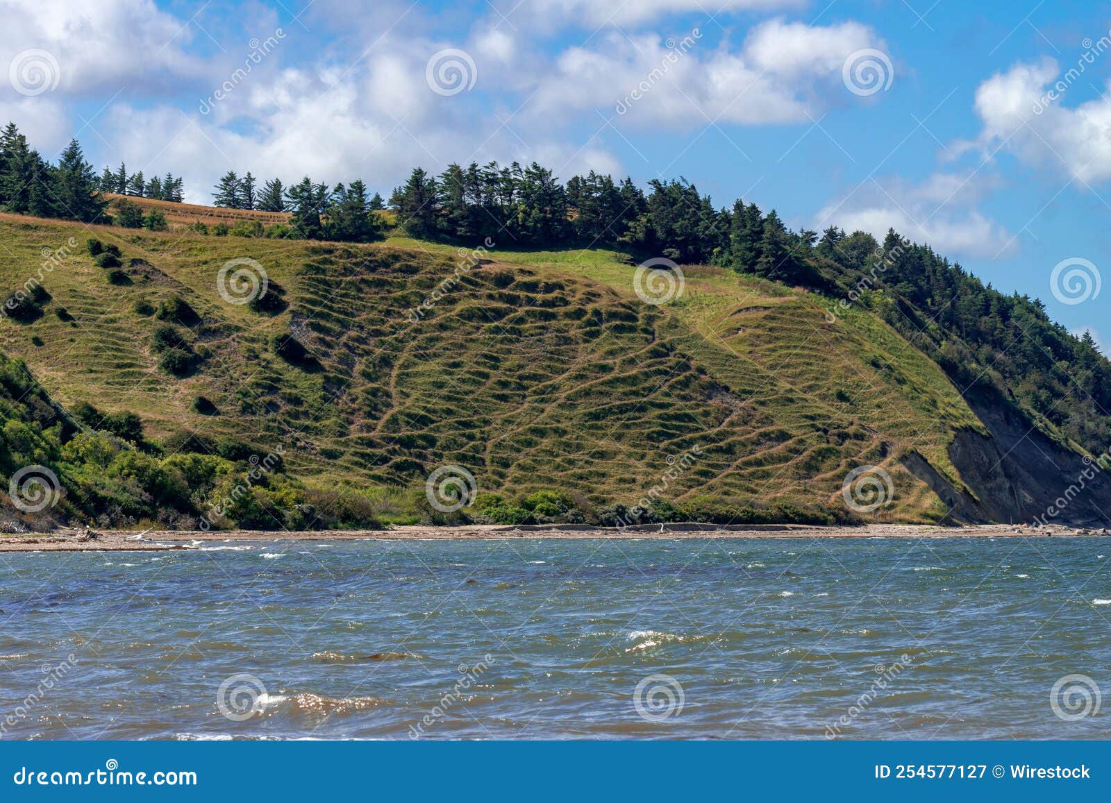 Scenic View of the Limfjord in a Summer, Denmark Stock Image - Image of ...