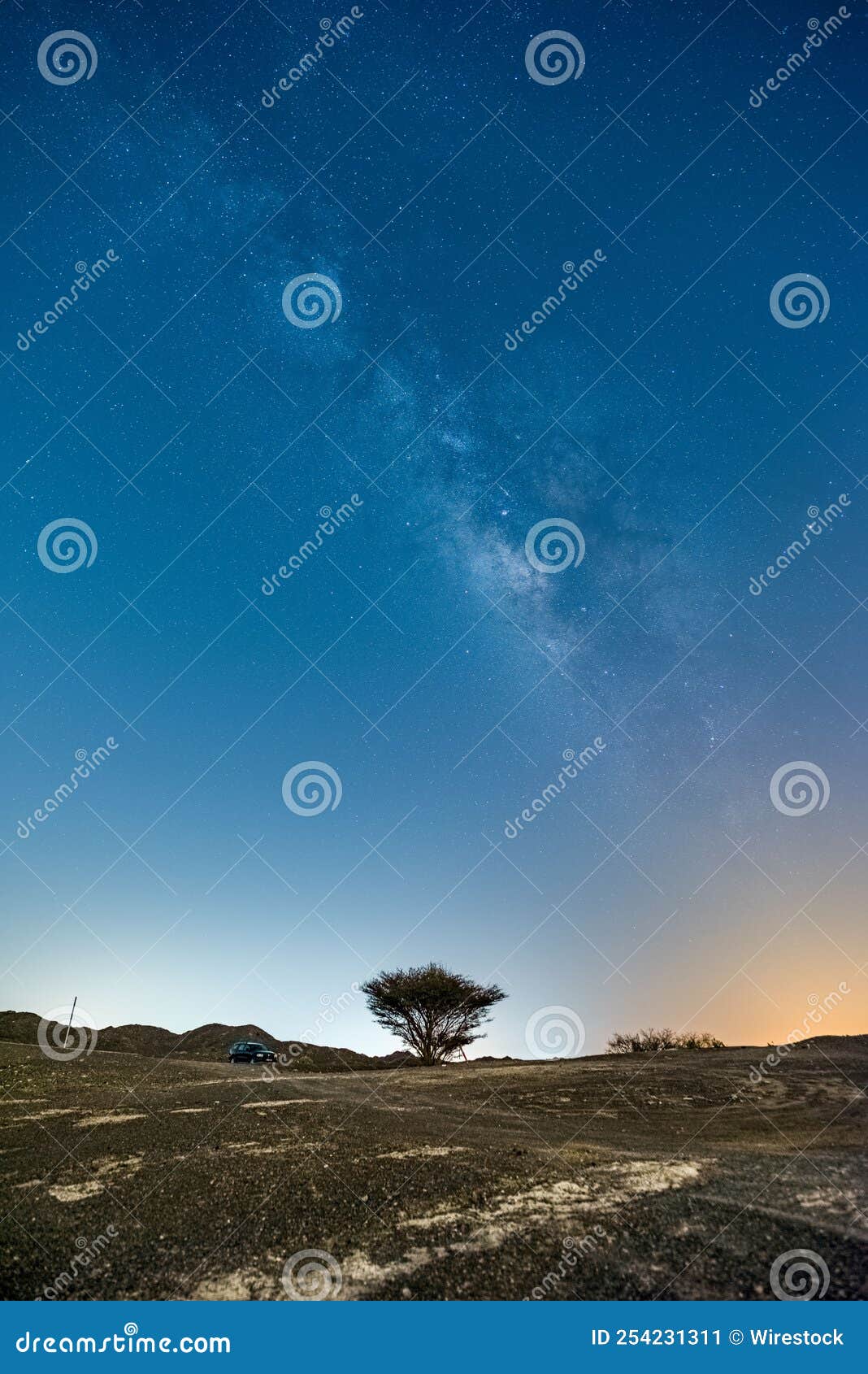 Scenic View of a Lone Tree on a Hill Under a Starry Night Stock Image ...